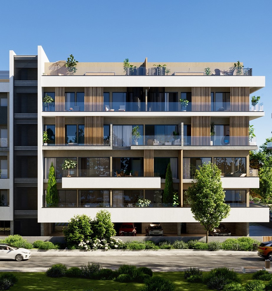 The Project | Conifer